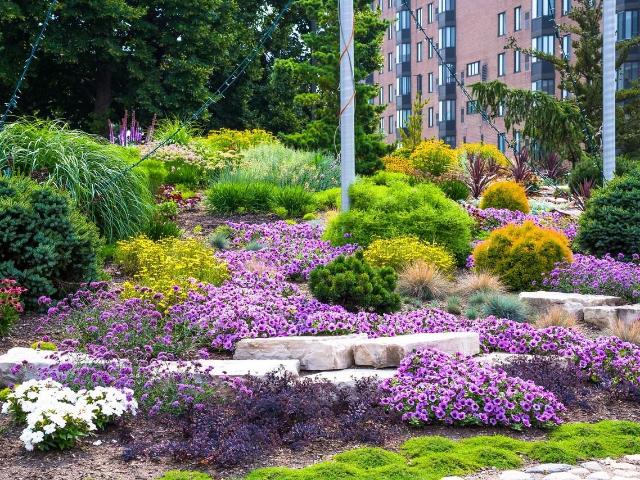 Woodland Park 2 Bedroom Apartment for Rent at 606 606 637 E Woodland Park Ave, Chicago, IL 60616 South Loop