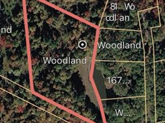 Woodland Rd, Craryville, NY 12521