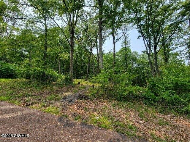 Woodland Rd Lot 5, Mount Carmel, PA 17851