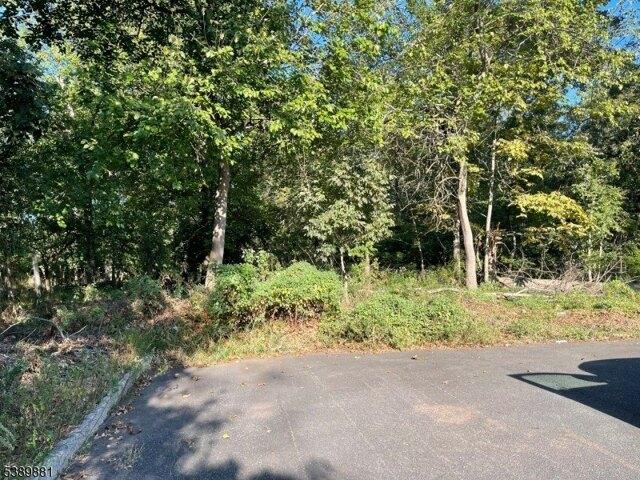 Woodland Rd, Piscataway Twp, Plot For Sale