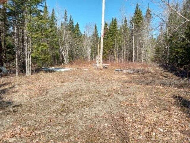 Woodland Ridge Rd Lot,danforth, Plot For Sale