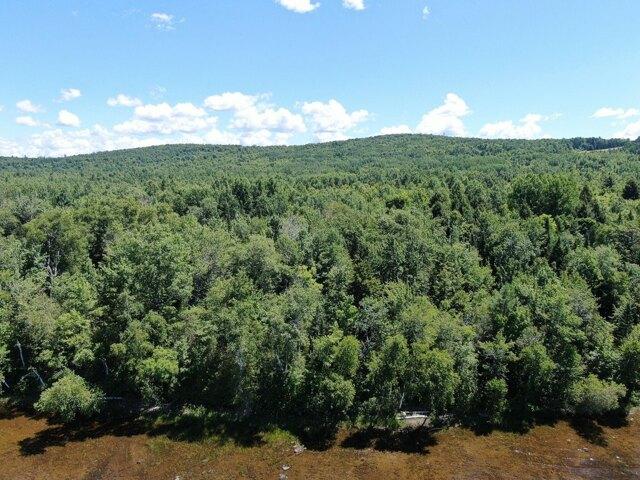 Woodland Ridge Rd Lot,danforth, Plot For Sale