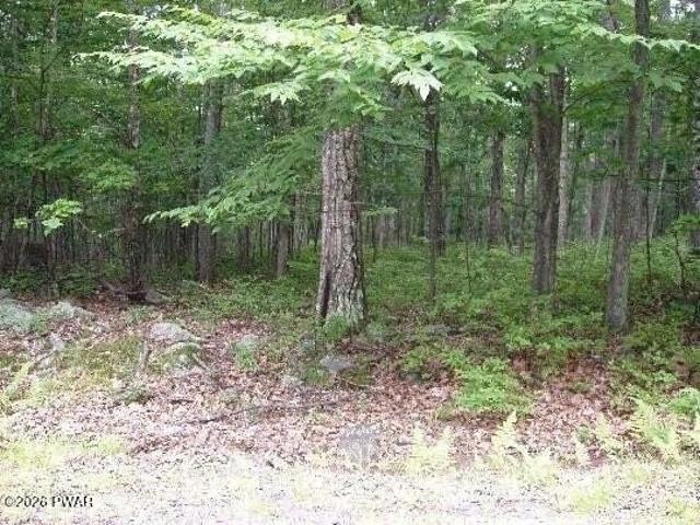 Woodledge Lk E, Hawley, PA 18428