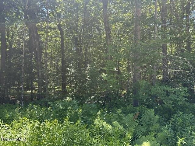 Woodmere Rd Lot 1081, Becket, MA 01223