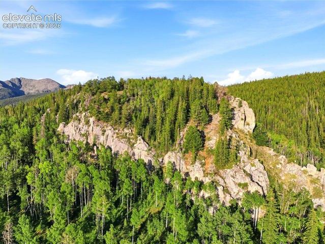 Woods, Eagle, CO 81631