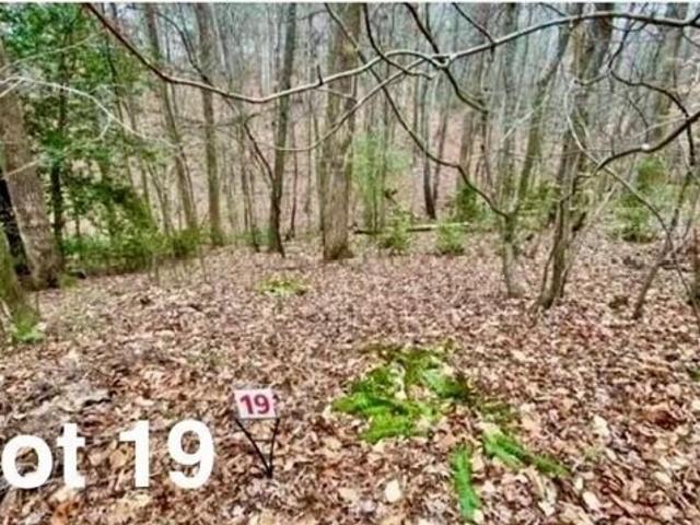 Woods Haven Ln Lot,stuart, Plot For Sale