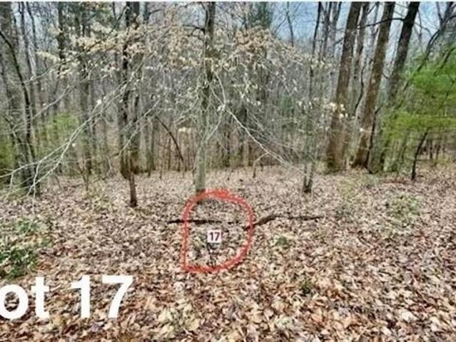 Woods Haven Ln Lot,stuart, Plot For Sale