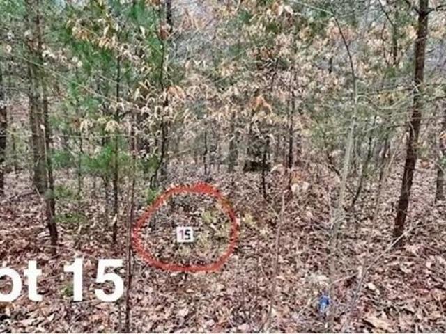 Woods Haven Ln Lot,stuart, Plot For Sale