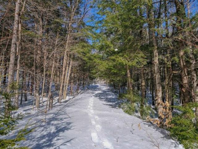 Woods Rd W Lot,ludlow, Plot For Sale