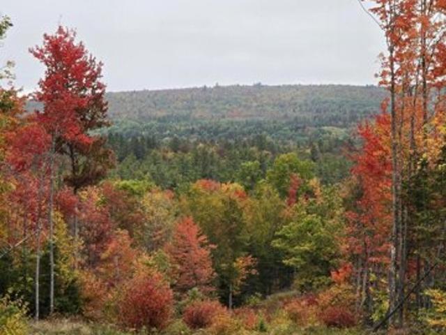 Woods Rd Lot,phillips, Plot For Sale