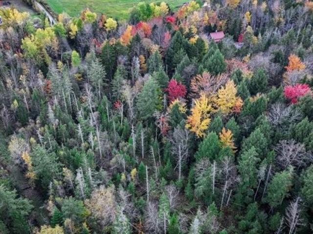 Woods Rd S, Warren, Plot For Sale