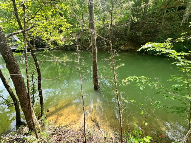 Woods Ridge Rd, Dandridge, TN 37725
