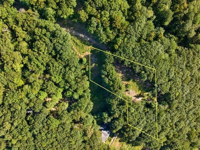 Woodsmere Rd Lot 30, Frankfort, MI 49617