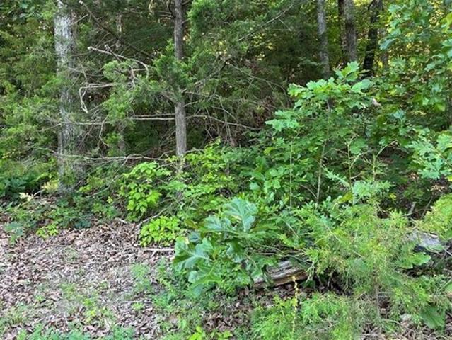 Woodson Rd Lot 824, Owensville, MO 65066