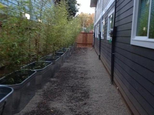 Woodstock Apartments 2 Bedroom Apartment for Rent at 6110 Se 52nd Ave, Portland, OR 97206 Woodstock