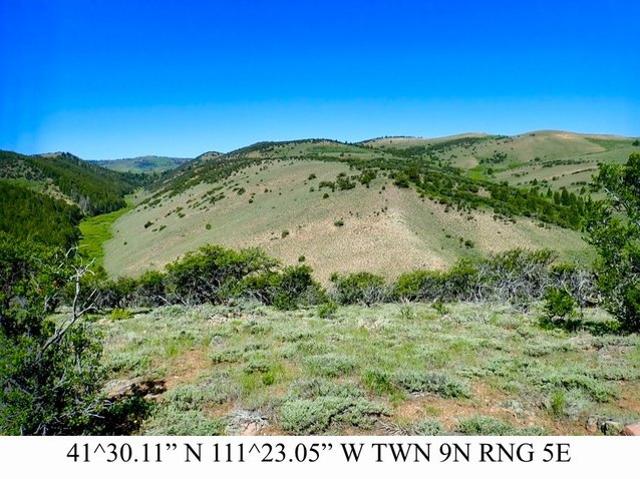 Woodruff, UT 84086