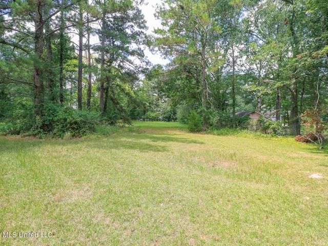 Woody Dr, Brandon, MS 39047