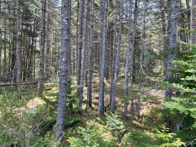 Woody Ln, Cushing, Plot For Sale
