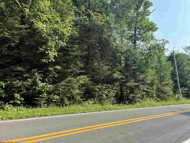 Woolen Mills Rd Parcel B, Albright, WV 26519