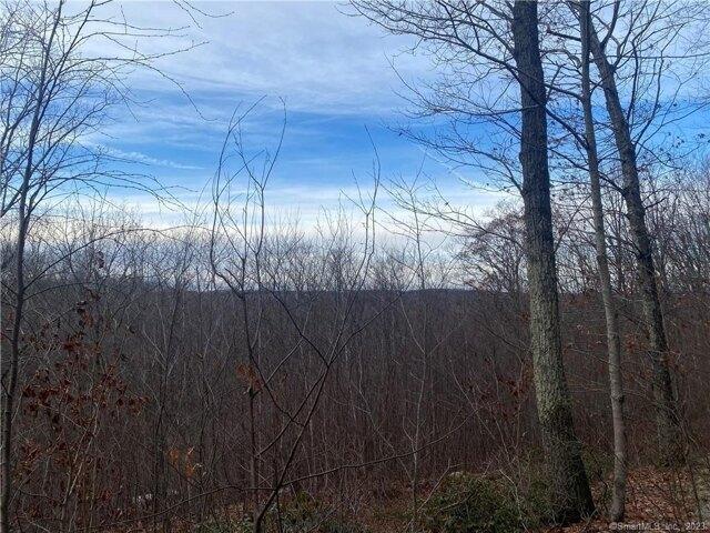 Wolcott CT 06716 103098646