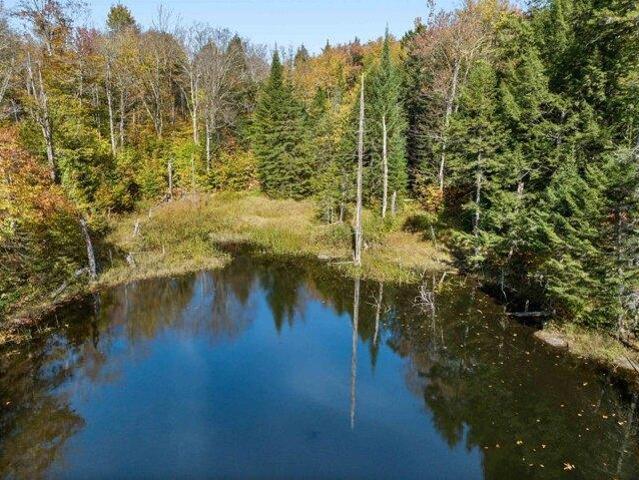 Wolcott VT 05680 102594888