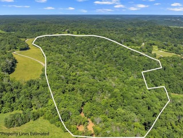 Wolf Hill Rd, Bethpage, TN 37022