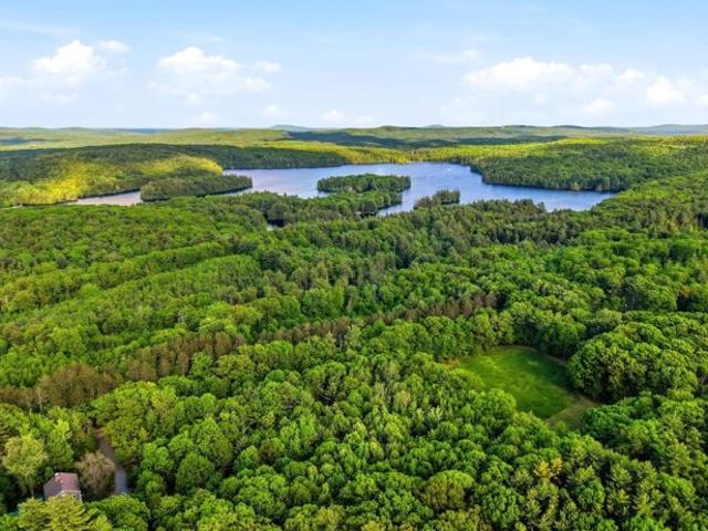 Wolf Hill Rd, Deering, Plot For Sale