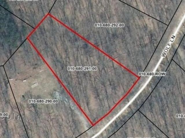 Wolf Lot 291, Farwell, MI 48622