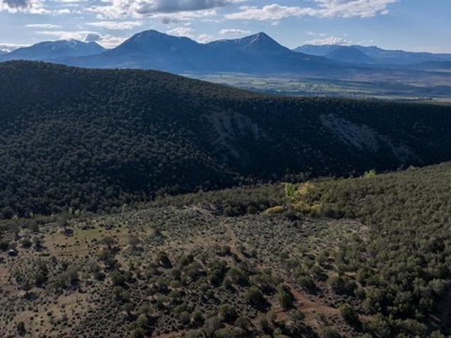 Wolf Park Rd, Hotchkiss, CO 81419