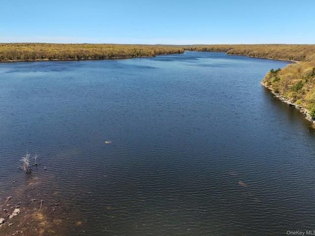 Wolf Pond Rd, Wurtsboro, NY 12790