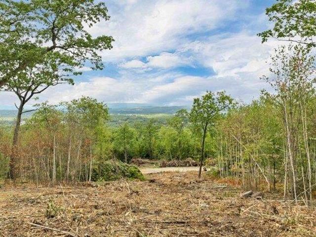 Wolfeboro NH 03894 102062583