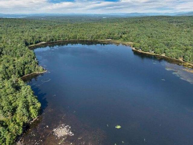 Wolfeboro NH 03894 102476018