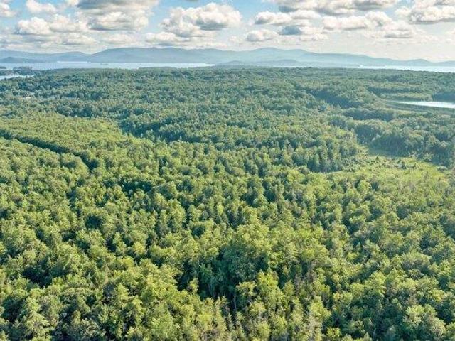 Wolfeboro NH 03894 LS101747485