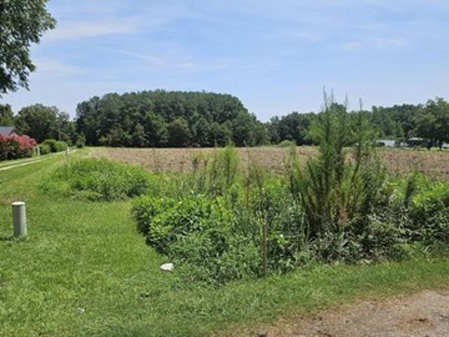 Wolfman Ln, Saint Stephen, SC 29479