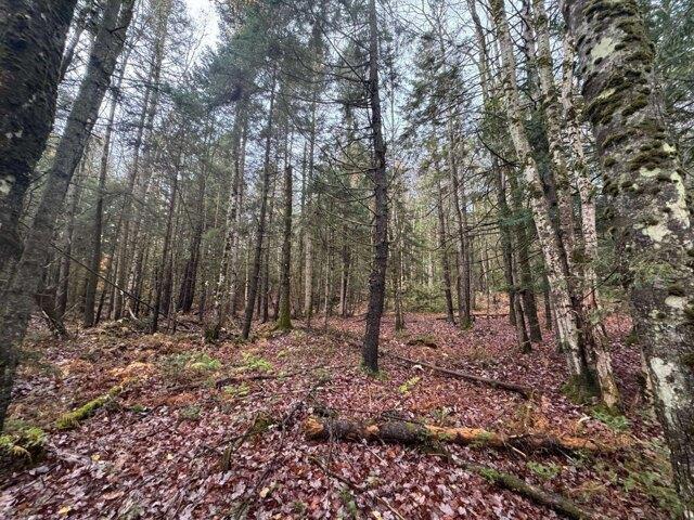 Worcester VT 05682 LS101661355