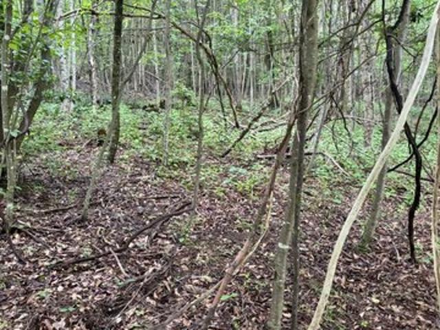Workman Rd, Edmond, WV 25837