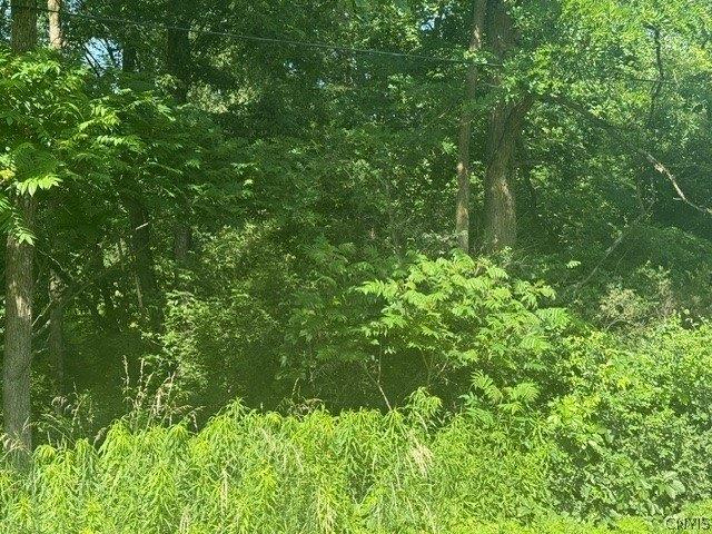 Wothe Freeman Rd, DeRuyter, NY 13052