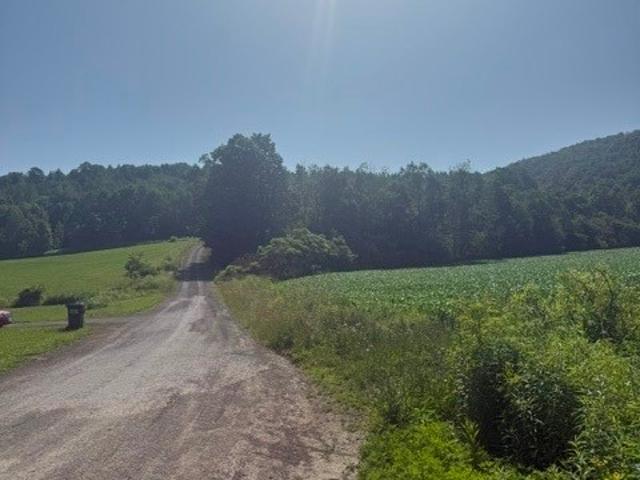 Wothe Freeman Road