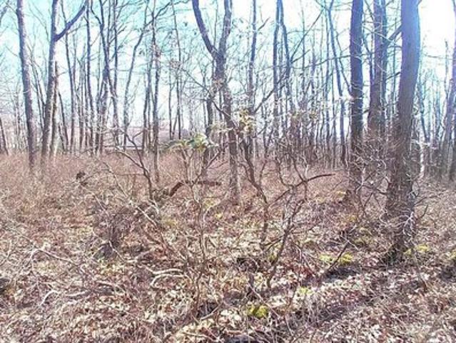 Ws Horseshoe Dr Lot 397, Hazleton, PA 18202