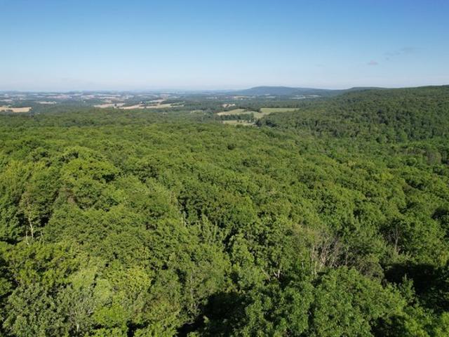 Wp001 S Hunt Club Rd, Ringtown, PA 17967