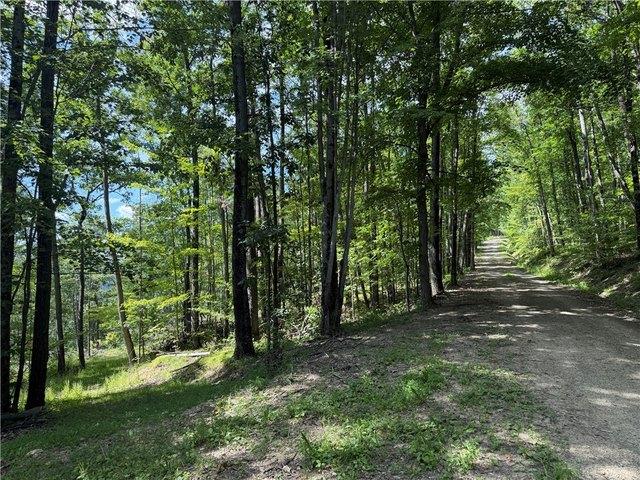 Wp01 # Rt70 # Swain, NY 14884