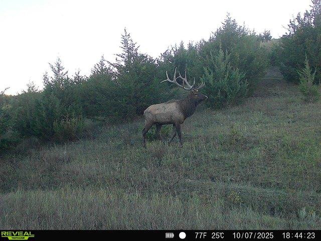 Wp 1, Lower Brule, SD 57548