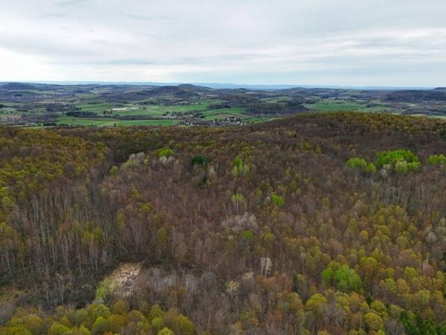 Wp Podpadic Rd, Richmondville, Plot For Sale