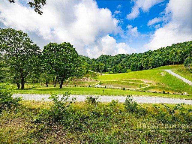Wr14 Firethorne Ln, Elk Park, NC 28622