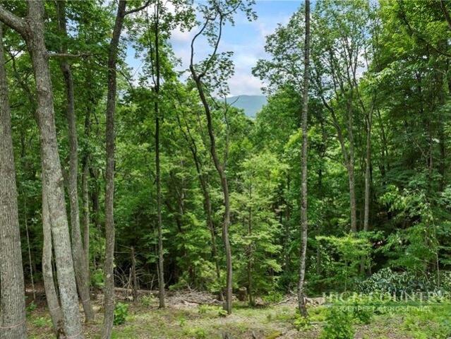 Wr Beech Mountain Rd, Elk Park, Plot For Sale