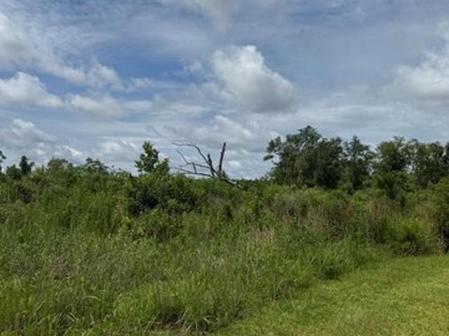 Wright Rd, Naylor, GA 31641