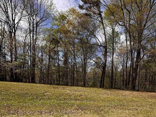 Wright Way Dr Lot 12, Wedowee, AL 36278