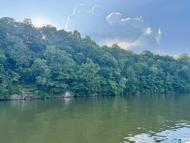 Wright Way Dr Lots 90 & 91B, Wedowee, AL 36278