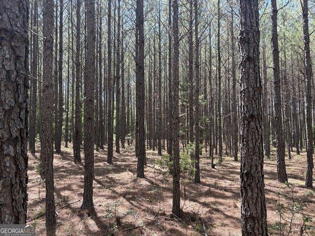 Wriley Rd, McIntyre, GA 31054