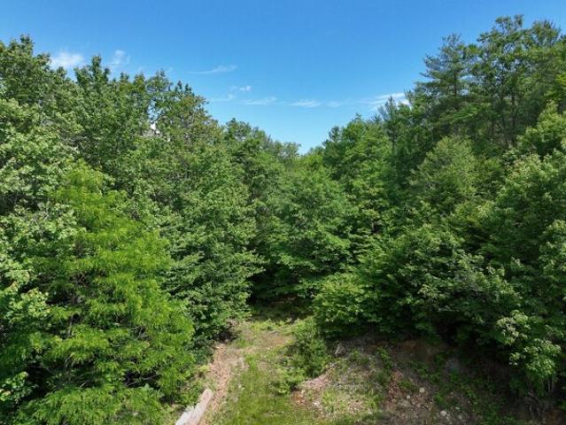 Wyman Hill Rd Lot,rumford, Plot For Sale